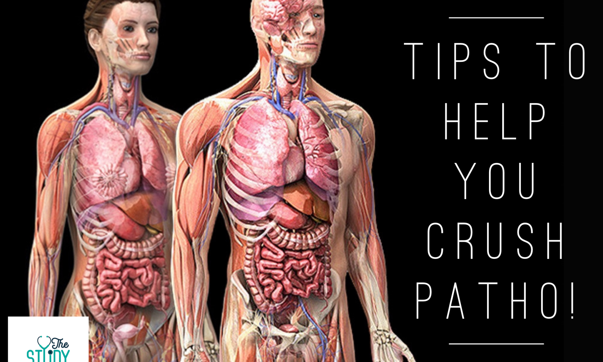 Pathophysiology Tips! – The Study Nurse