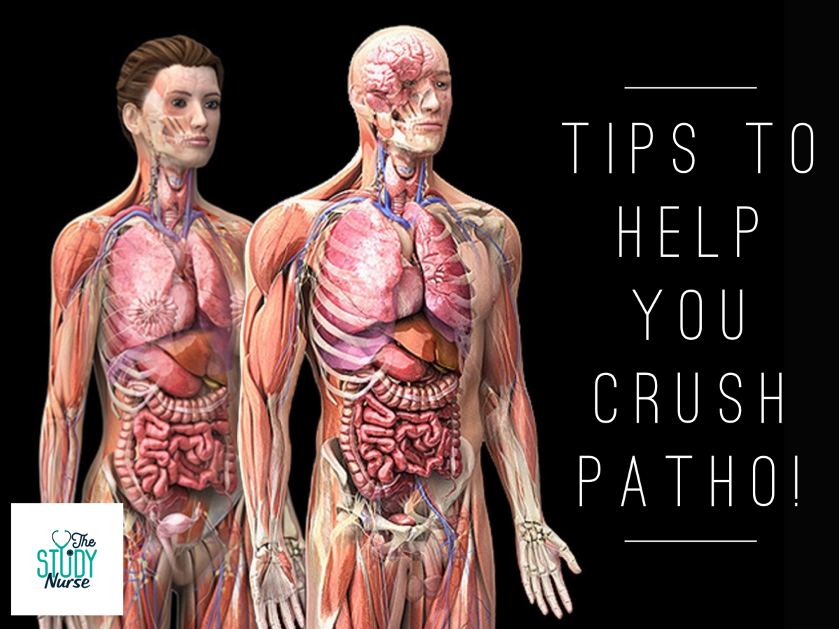 Pathophysiology Tips! – The Study Nurse
